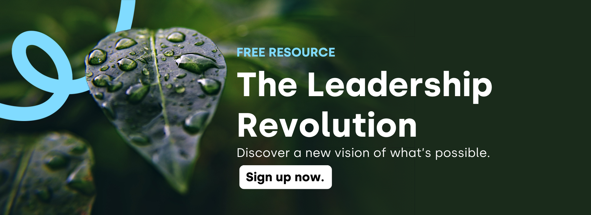 Why is Leadership in Crisis? - Unstoppable